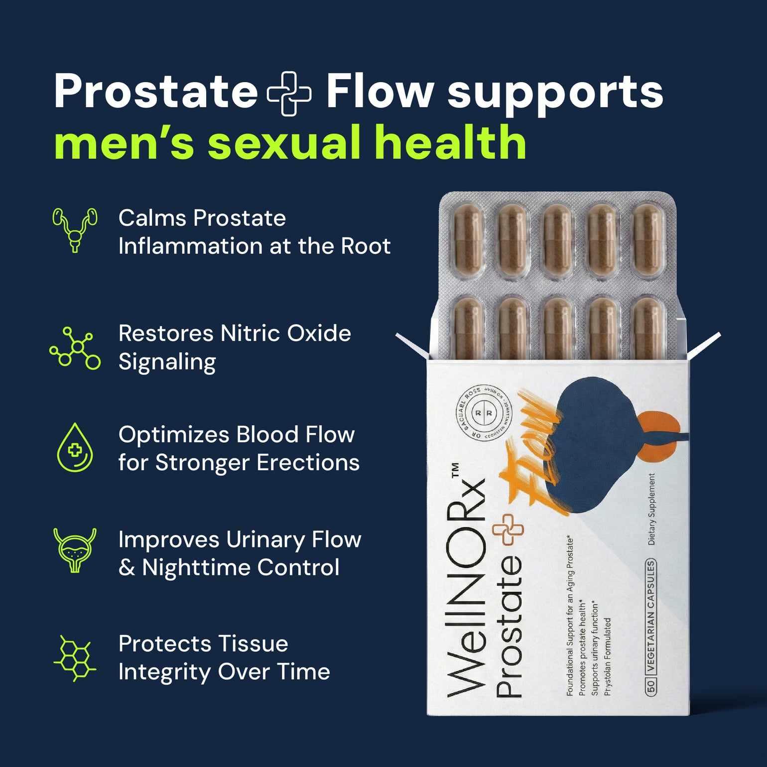 Prostate + Flow Formula | Herbal Prostate Support Supplement – Dr ...