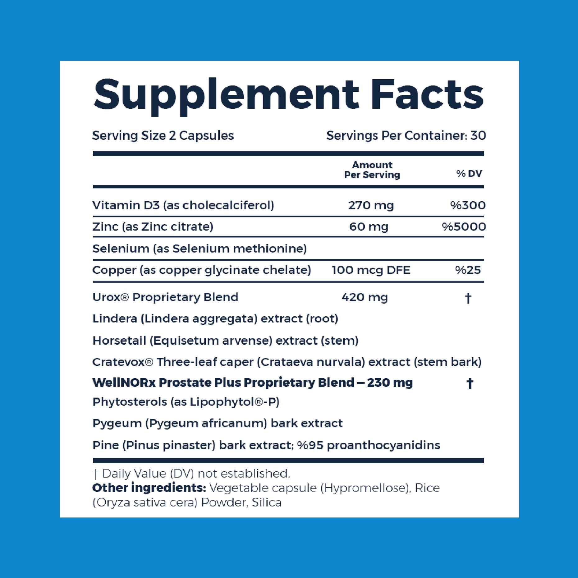 Prostate + Flow Formula | Herbal Prostate Support Supplement – Dr ...